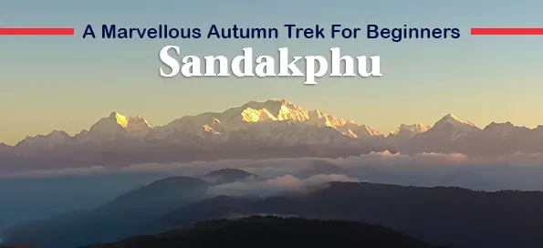 Sandakphu Trek 2024-25: Cost, Itinerary & Safety Tips