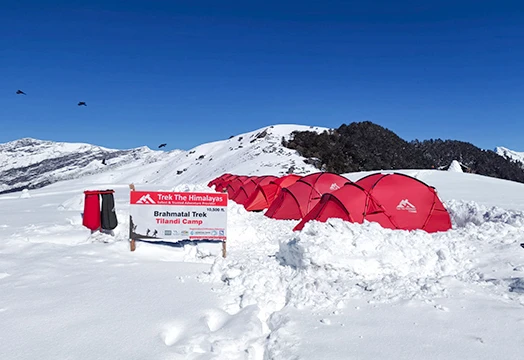 29th January, 2026 - Trek Update: Treks Are Experienced Memorable Snowfall