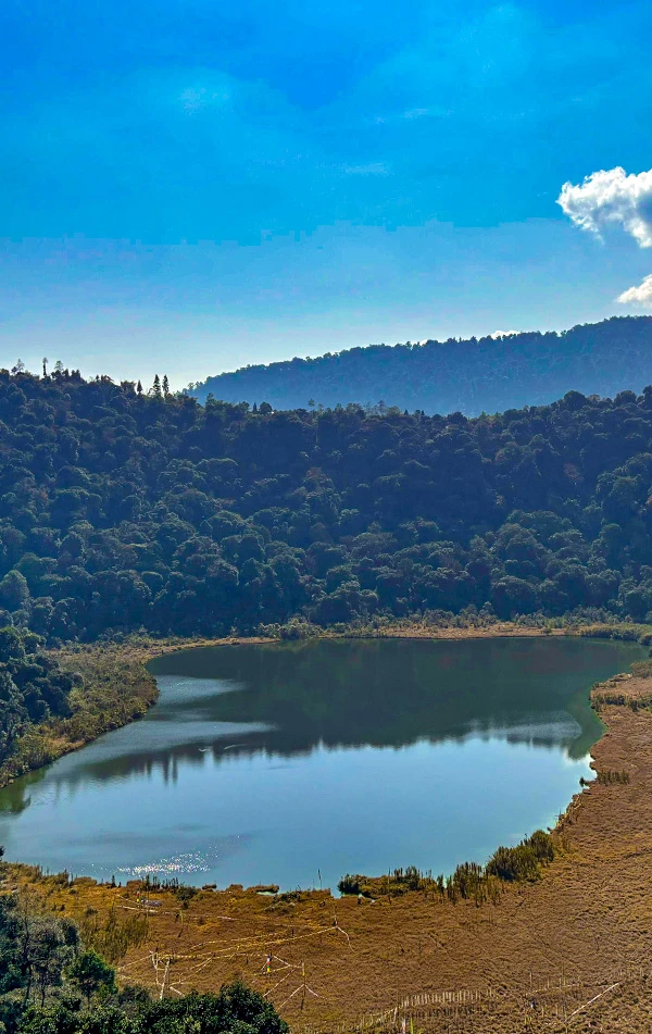 Bajre Dara Trek Sikkim 2025 - Trek The Himalayas