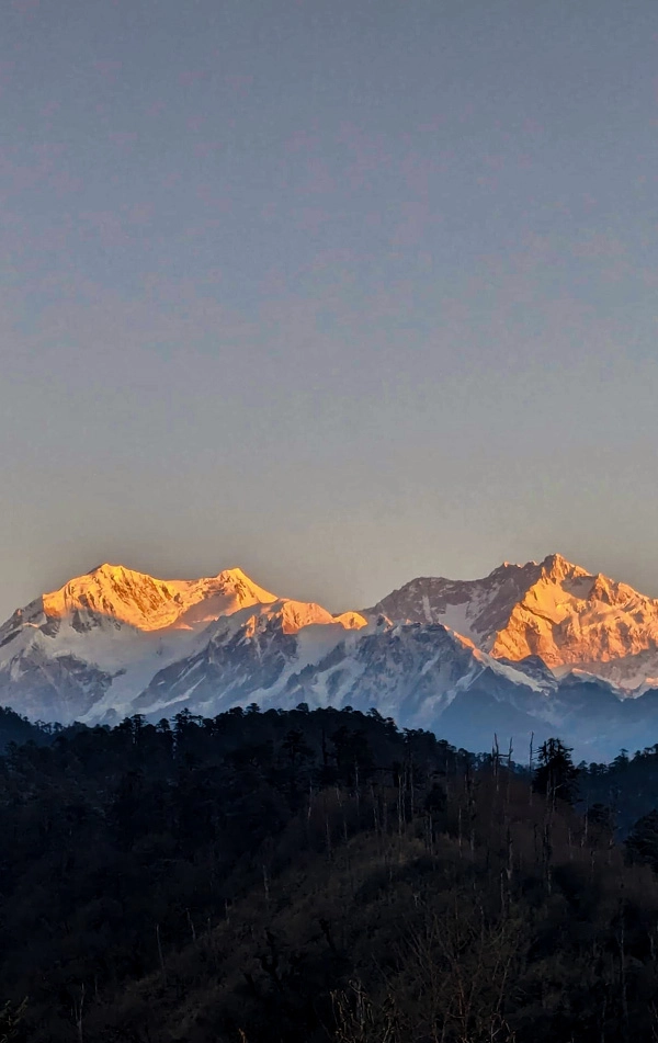 Bajre Dara Trek Sikkim 2025 - Trek The Himalayas