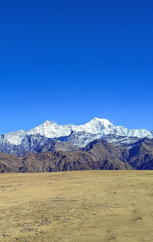 Gulabi Kantha Trek 2025 - Trek The Himalayas