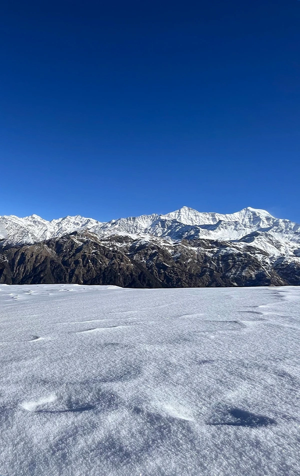 Gulabi Kantha Trek 2025 - Trek The Himalayas