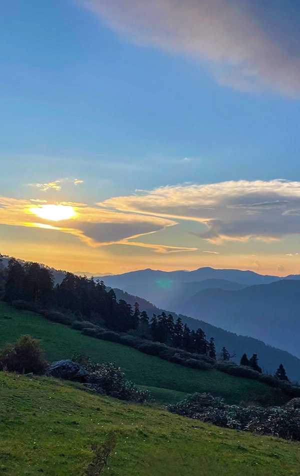 Gulabi Kantha Trek 2025 - Trek The Himalayas