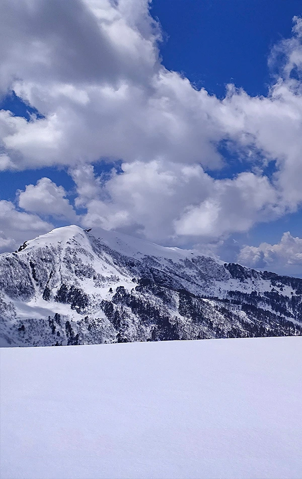 Gulabi Kantha Trek 2025 - Trek The Himalayas