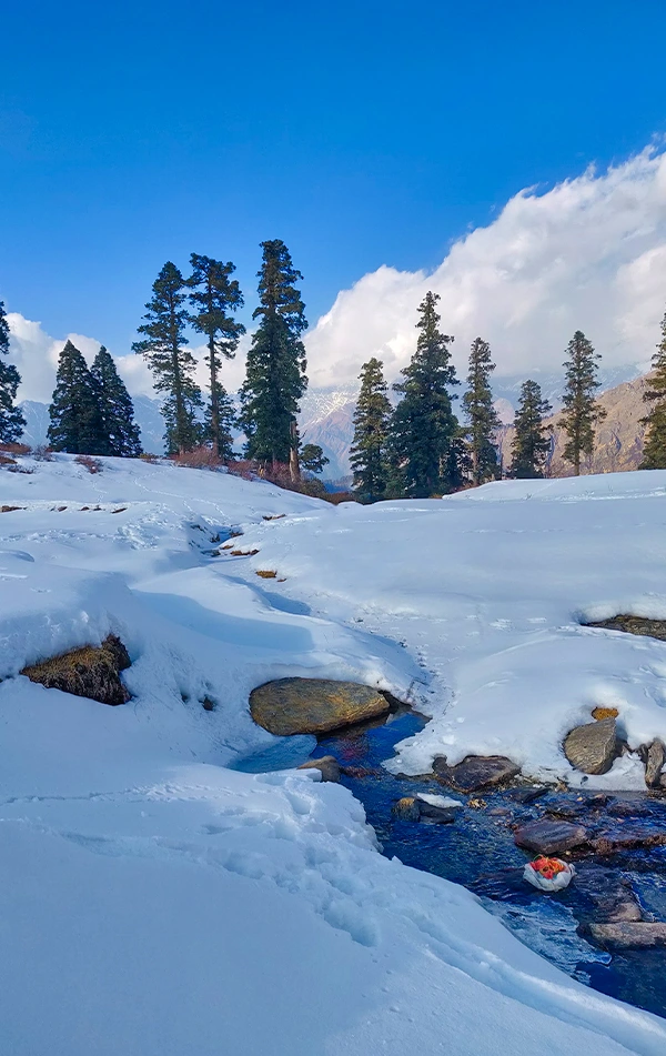 Gulabi Kantha Trek 2025 - Trek The Himalayas