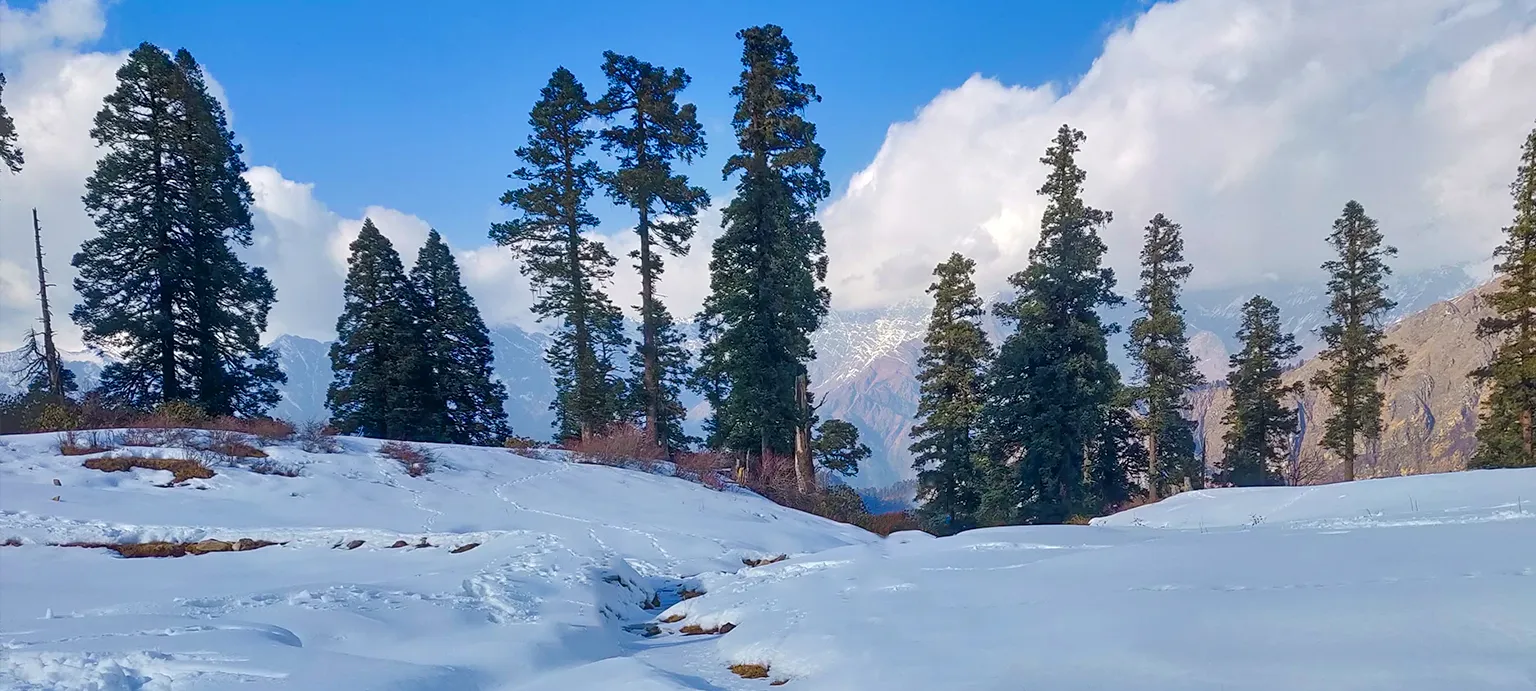 Gulabi Kantha Trek 2025 - Trek The Himalayas