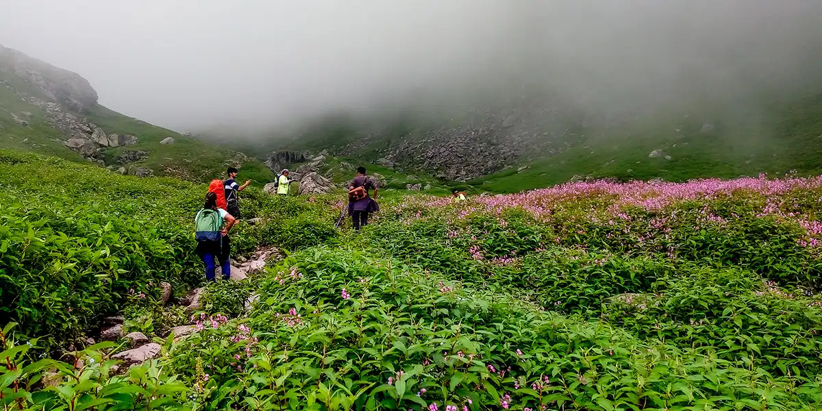 Hampta Pass Trek: Best Monsoon Trekking in India